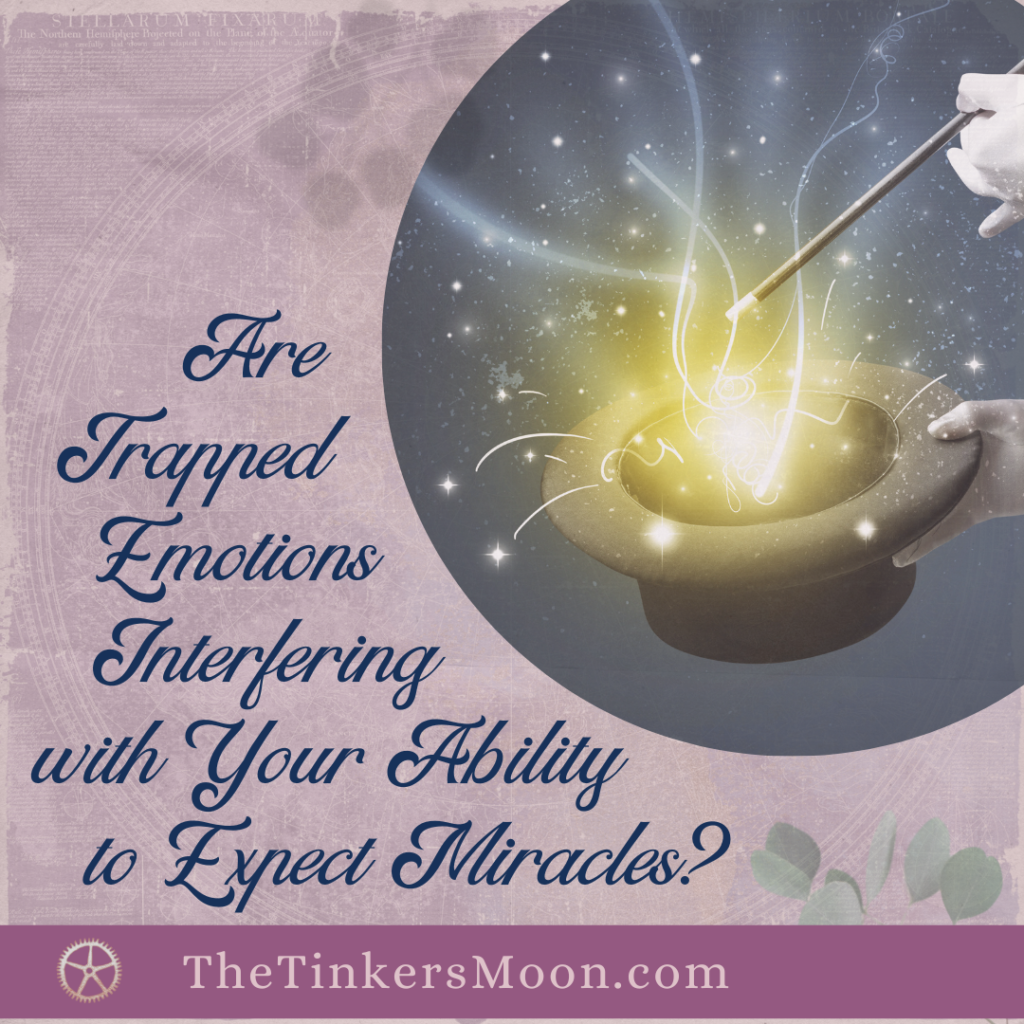 Yes, Animals Have Feelings Too! - The Tinker's Moon